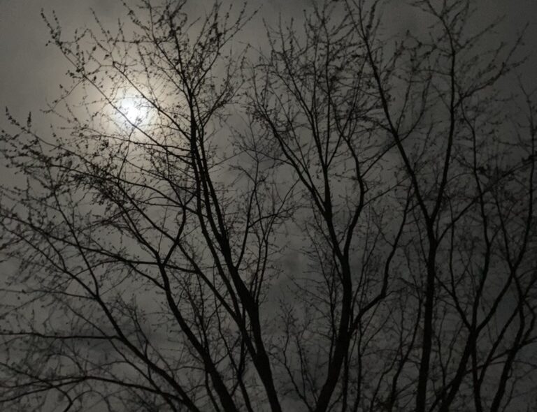 Full Moon Forty Acres Deep - SneezingCow.com