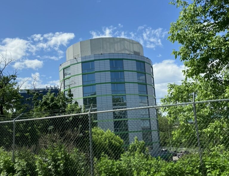 Tour Flashback - SneezingCow.com